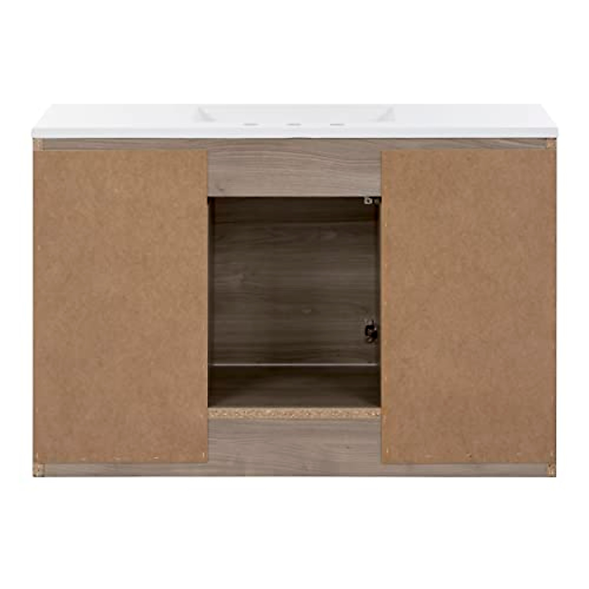 Spring Mill Cabinets D48V40264 Tarni Single Bathroom Vanity with 4 Drawers, Cabinet, and White Sink Top, Forest Elm
