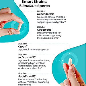 ONFIPOK MI-CR0BI0ME-Labs Spore-Based Probiotics - Daily Probiotic Supplement for Men & Women - 5 Bacillus Strains for Immune & Gut Health - Vegan-Friendly(60 Capsules)