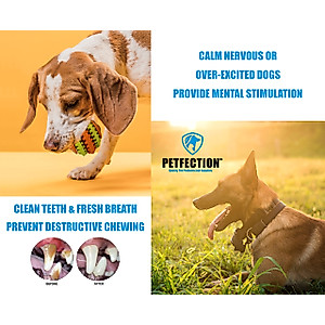 PETFECTION Dog Chew Toys 3 Pack, Dog Toys for Aggressive Chewers Large Breed, Multifunctional Teeth Cleaning and Gum Massage, Tough Dog Toys from 100% Natural Rubber for Large and Medium Dogs