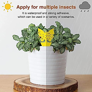 36 Pack Sticky Traps Plant Trap for Fungus Gnat, Fruit Fly Traps for Mosquito and Bug Indoor & Outdoor, Pest Insect Catcher Killer