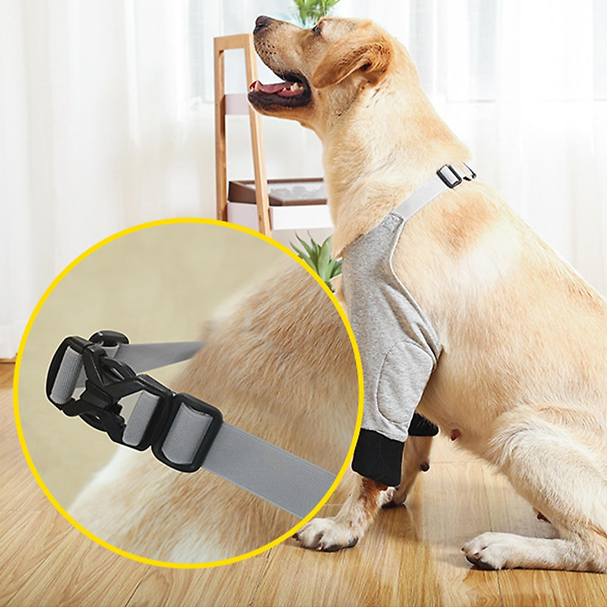 Adjustable Dog Elbow Protector Soft Breathable Stable Support for Injury, Front Legs Sleeve for Dog Recovery (S)