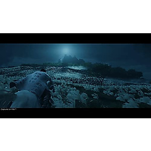 Ghost of Tsushima Director's Cut (PS4)