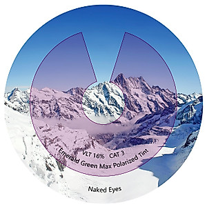 Tintart Performance Replacement Lenses Compatible with Oakley Holbrook XL OO9417 Polarized Etched-Emerald Green