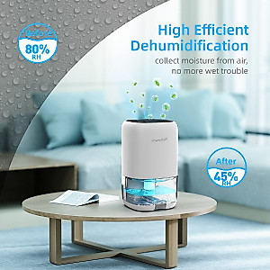 REEMKIZZ 35 oz Dehumidifier for Home Ultra Quiet Auto Shutoff Dehumidifier for Closet Wardrobe Bedroom Kitchen (300 sq. ft) White