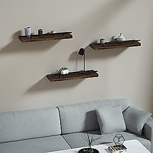 HOBBYMATE Floating Shelves | Rustic Shelf for Photo Picture Plant Display Invisible Installation Bracket, Versatile Iron Rail (Pack of 2)