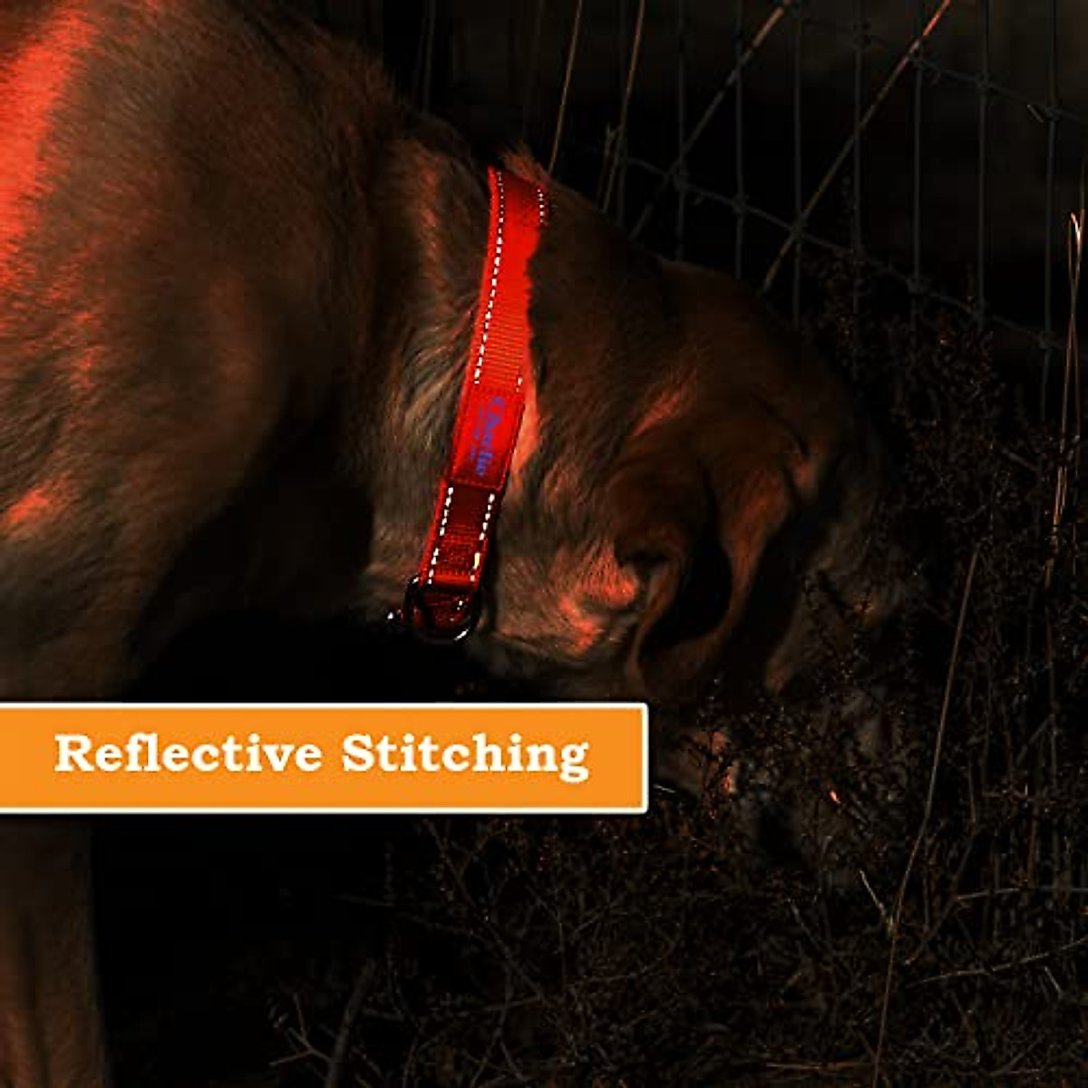 PAWBLEFY Personalized Dog Collars - Reflective Nylon Collar Customized with Name and Phone Number - Adjustable Sizes for Small Dogs, Medium, and Large - 4 Colors for Male Female boy Girl Puppies