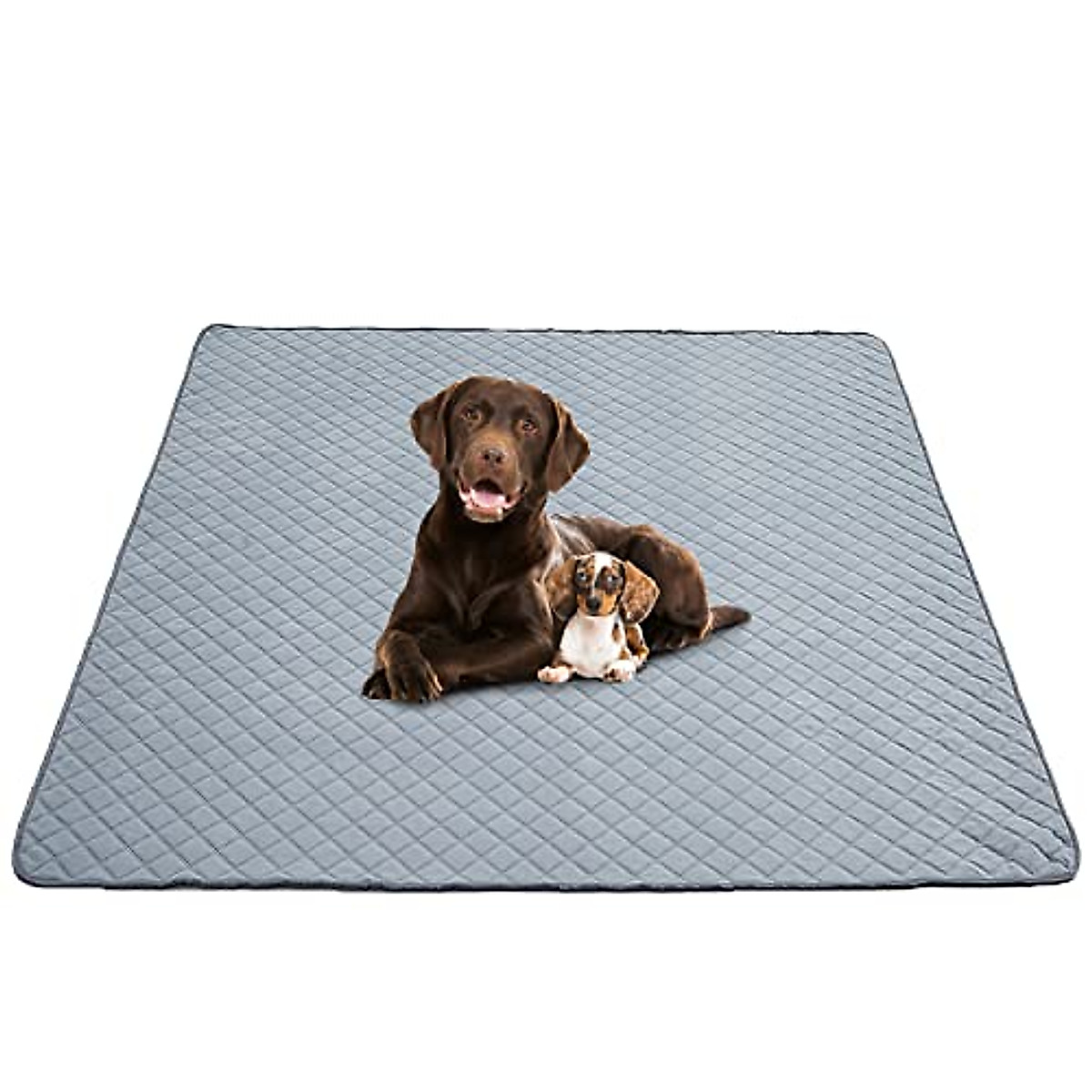 Eterish Reusable Washable Pee Pads for Dogs Extra Large 72'' x 72'' 1 Pack, Absorbent Pet Puppy Dog Training Pads Non-Slip, Waterproof Whelping Potty Pads for Dogs Leak-Proof