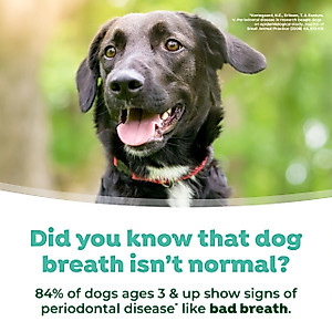 TropiClean Fresh Breath Plus Glucosamine for Hips & Joints | Dog Breath Water Additive | Dental Care | Dog Breath Freshener | Simple Pet Teeth Cleaning | Made in USA | 33.8 oz