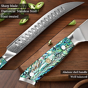 XT XITUO Butcher Knife – 10″ Cimitar & Breaking Knife Knife – Japanese VG-10 Damascus Steel – Full Tang & Razor Sharp – Ergonomic Abalone Shell Handle Design -Dazzling Series