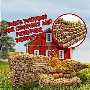Backyard Barnyard 12 Pack Chicken Nesting Box Pad Made in USA! 13 x 13 Excelsior Liner for Coop Aspen Hay Fiber Poultry Bedding for Egg Laying Hens Pollos Chook