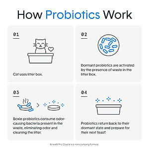 Boxie® Pro™ 40 Day Probiotic Odor Control Non-Clumping Crystal Cat Litter, 6 lb, Self-Cleaning, MicroDry™ Crystals, 99.9% Dust-Free, Long-Lasting, Health Benefits for Multi-Cat Homes