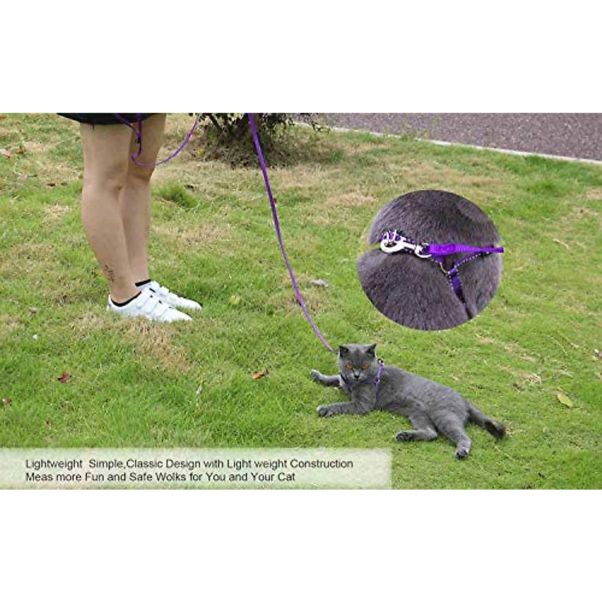 AMAGOOD 6 FT Puppy/Dog Leash, Strong and Durable Traditional Style Leash with Easy to Use Collar Hook,Dog Lead Great for Small and Medium and Large (Purple,5/8" x 6 Feet)