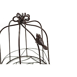 TJ Global Iron Birdcage Hanging Planter, Metal Wire Flower Pot Basket Wrought Iron Plant Stands for Plants, Flowers, Garden, Patio, Balcony Outdoor and Indoor Décor