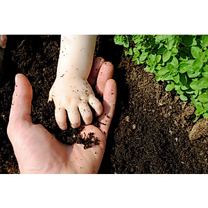 Anti-Aging Extracts Skincare Grade Green Tea Extract HAS MOVED search ASIN B0CZMCB333