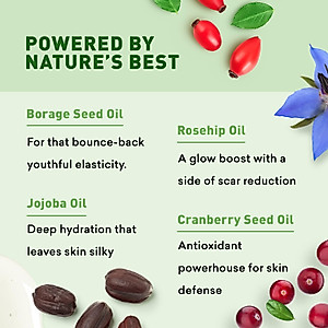 Sunless Tanning Lotion | Anti-Aging Self-Tanner | Body Tanning | Sun Kiss Glow Bronze Finish | Bronzer Lotion For All Skin Types | Just Nutritive | 8 Oz