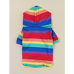 QWINEE Rainbow Colorful Dog Hoodie Sweatshirt Dog Shirt Cat Clothes for Puppy Kitten Small Dogs Multicolor X-Small
