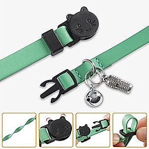 WROSWT Leather Cat Collar,2 Pack Breakaway Safety Buckle Collar with Name Tag and Airtag Case,Adjustable for Girl Boy Kitten (Blue + Green)