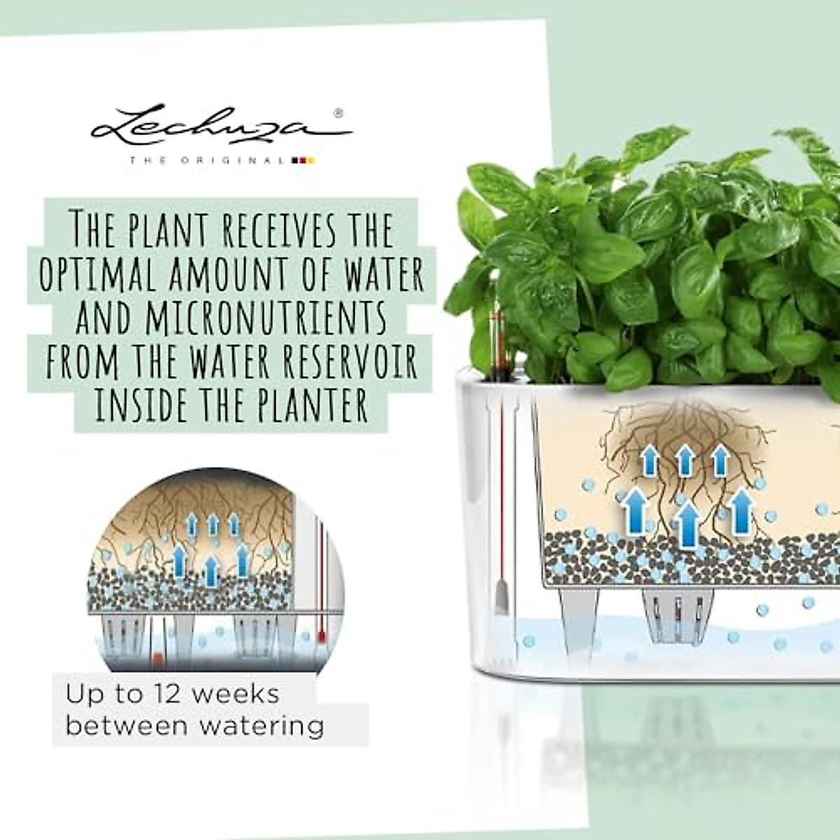 Lechuza 15460 Delta 10 Indoor and Outdoor Use, 12" x 4" x 5", Self Watering Planter, 30cm, White High Gloss