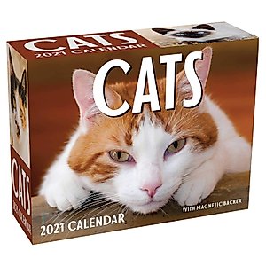 Cats 2021 Mini Day-to-Day Calendar