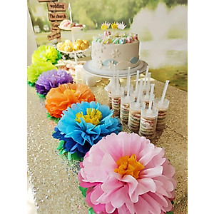 Mybbshower Tissue Pom Poms Flower Party Backdrop Decoration for Weddings Birthday Bridal Baby Showers Nursery Room Decor (Orange, 9 inch)