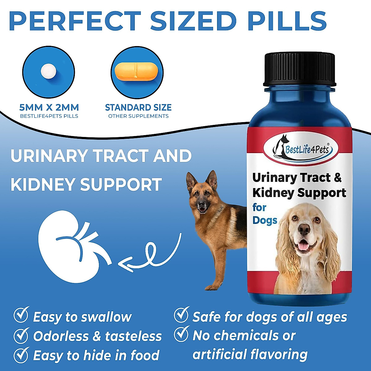BestLife4Pets Dog UTI Kidney Support - Natural Urinary Tract Infection Treatment – Renal and Bladder Control Supplement – Easy to Use Pills (2 Pack)
