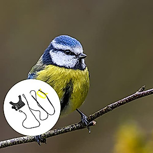 STOBOK Parrot Bird Harness Leash Adjustable Bird Flying Harness Traction Rope for Parrots Pigeons Budgerigar Lovebird Cockatiel Mynah Outdoor