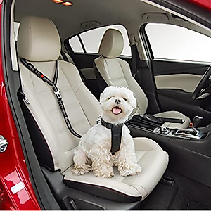 Comfortable Dog Seat Belt Harness for Car - 2-in-1 Leash and Restraint Secures to Headrest. Adjustable Bungee, Strong, Durable, 360 Degree Swivel Attach Won't Twist, Reflective, Easy to Use (Black)