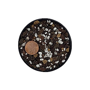 Succulent & Cactus Soil Mix - Premium Pre-Mixed Fast Draining Blend (1.25 Dry Quarts)