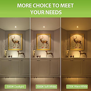 12 Pack MR16 GU5.3 LED Bulb 50W Halogen Equivalent, 5W 3000K Soft White, 450 Lumens, 38 Degree Spot Lighting for Indoor/Outdoor Flood Track Recessed Lighting Not Dimmable AC/DC 12V 24V