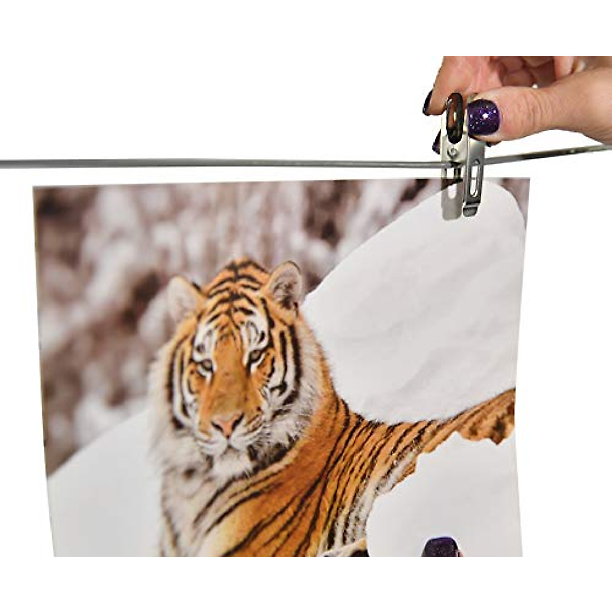 Home-X 10 Pack Stainless Steel Clothespin & Utility Clip Multi-Purpose Stainless Steel Clips, Cord Clothes Pins Utility Clips Clamps Darkroom Photoclips-1.5 Inch