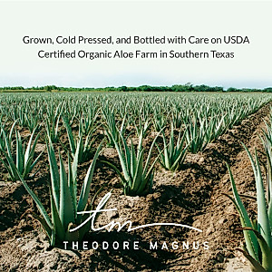 THEODORE MAGNUS Organic Cold Pressed Aloe Vera Gel - Great for Skin and Hair - Sun Burn Relief, Moisturizing, Dry Skin, Acne, Razor Bumps, and more - Grown and Bottled in US - 12 Fl Oz