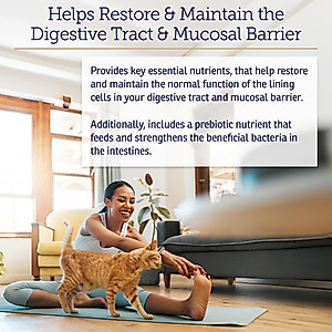 Rx Vitamins NutriGest - Dog Probiotics for Digestive Health - Probiotic for Cats - Cat Digestive Support,Anti Diarrhea for Cats and Dog Gas Relief - Probiotics for Dogs Powder - 4.65oz