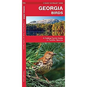Georgia Birds: A Folding Pocket Guide to Familiar Species (Nature Observation North America)