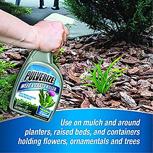 Pulverize PWG-B-128-S Grass Ready to Use Weed Killer, 128 Fl Oz (Pack of 1), Clear
