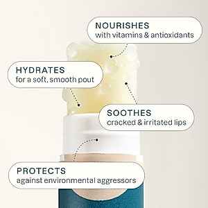 Cliganic Organic Lip Balm Set - 6 Tropical Flavors - 100% Natural Moisturizer for Cracked & Dry Lips (Packaging May Vary)