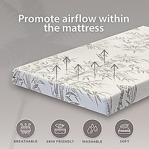 Viscologic Econo 6" Twin/Single Size Mattress in a Box Cool Resilient Medium Firm Flippable Foam | for Everyone, Kids to Adults | Use with Bunk Bed/Trundle/Platform Bed | CertiPUR-US® Certified