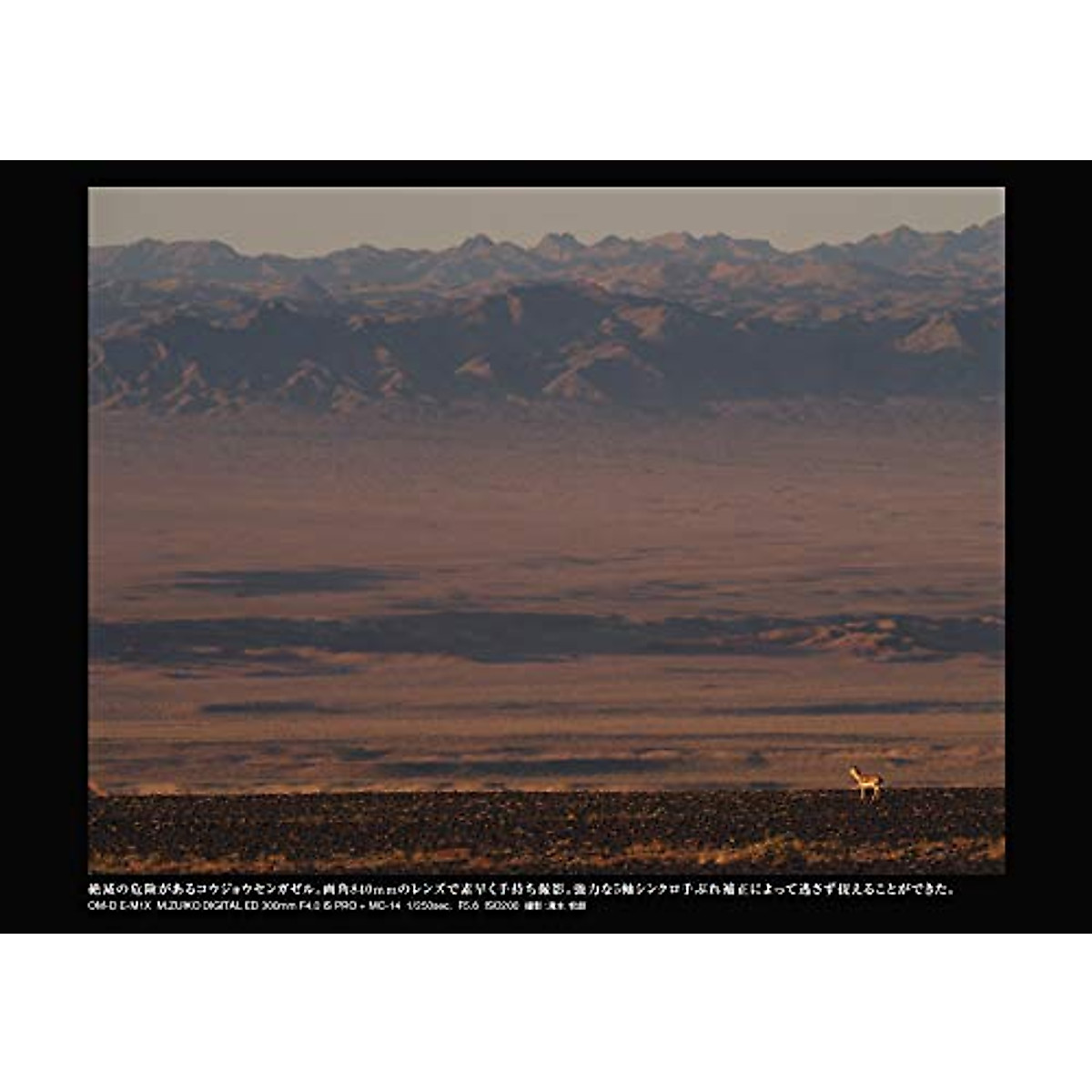 OLYMPUS Mirrorless DSLR OM-D E-M1X Body