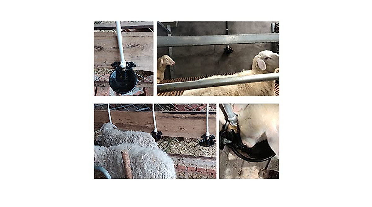 Automatic Goat Waterer for Livestock - MILIFUN
