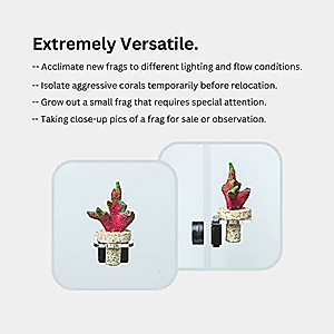 Oceanbox Designs CoralOne™ Magnetic Solo Frag Rack (Clear, 4 Pack), Single Frag Rack, Reef-Safe No-Rust 100% Waterproof Magnets, Made in USA