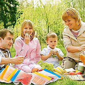 Reusable Storage Bags, 12 Pack BPA Free Leakproof Freezer Bag for Liquid Lunch Sandwich Marinate Meat Fruits - 2 Gallon, 5 Sandwich and 5 Small Bags, Food Grade, Thick, Leakproof and Washable