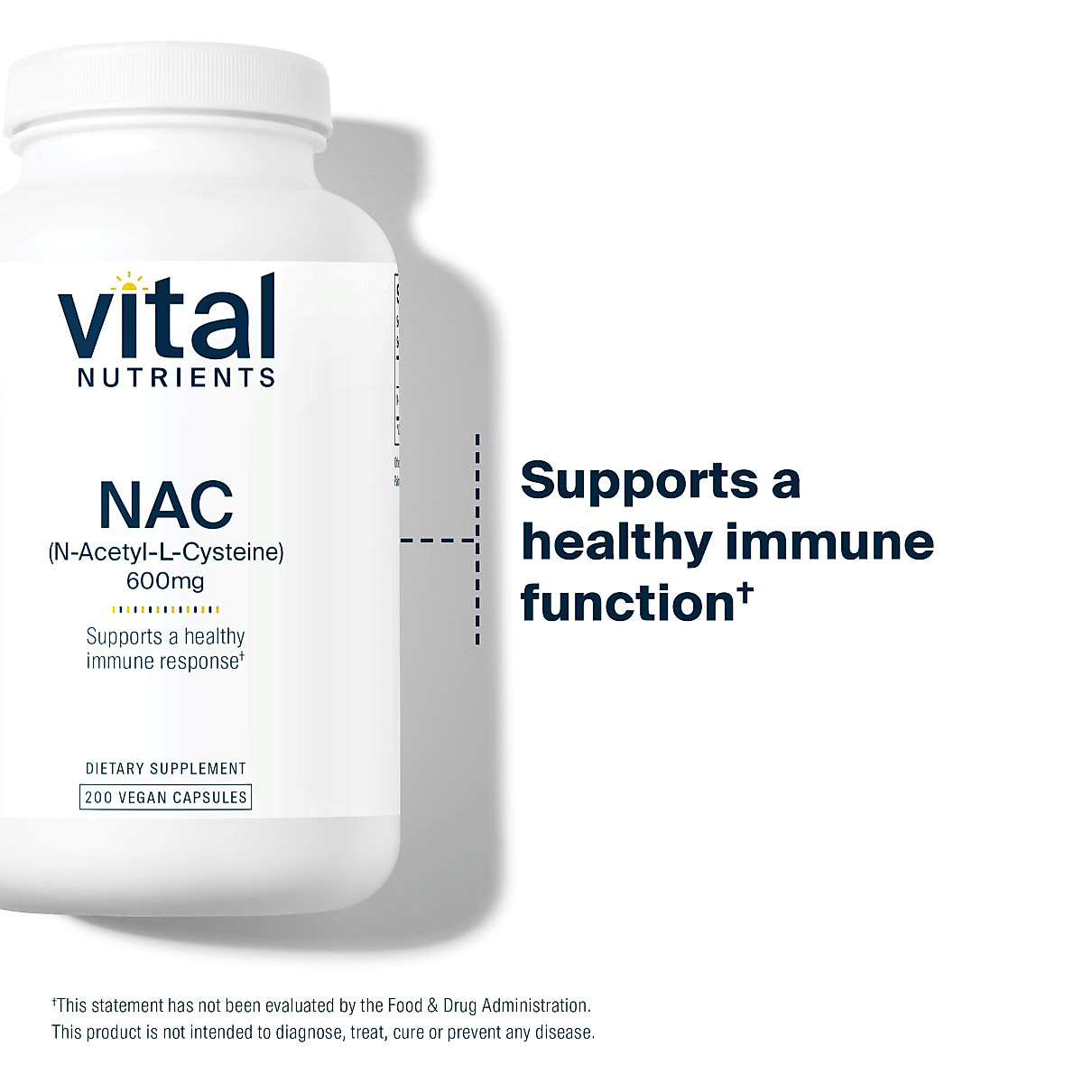 Vital Nutrients NAC 600mg | N-Acetyl Cysteine | Vegan NAC Supplement | Antioxidant for Sinus, Liver, Immune, and Respiratory Health* | Gluten, Dairy, Soy Free | 200 Capsules