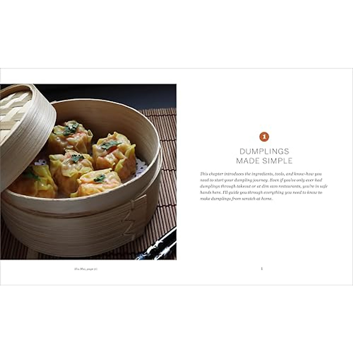 Dumplings for Beginners: 50 Recipes and Simple Step-by-Step Lessons to Make Your Favorite Dumplings