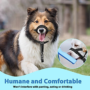 BARKLESS Soft Dog Head Collar, Padded No Pull Head Halter, Dog Training Nose Leash with Safety Link for Medium Large Dogs, Adjustable Muzzle Leash, Easy Control for Dog Walks(Black, M)