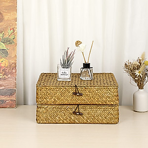 BTSKY 2 Pack Wicker Baskets With Lids Flat Woven Storage Bins for Shelf Organizing Natural Seagrass Storage Baskets with Lids Home Utility Organizer Box for Home & Office Supplies, Caramel (Large)