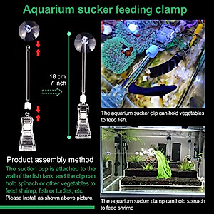 11.8 Inch Shrimp Feeding Tube with Shrimp Feeding Dish，Shrimp Feeding Bowl with Suction Cup，Feeding Tube Cleaning Brush，Aquarium Feeder with Bulb，Feeding Ring，Aquarium Sucker Feeding clamp,Fish net