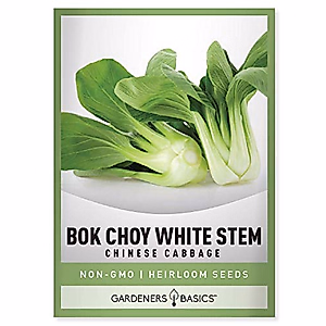 Bok Choy Chinese Cabbage Seeds for Planting - (Pak Choi) Heirloom, Non-GMO Vegetable Variety- 1 Gram Seeds Great for Summer, Spring, Fall and Winter Gardens by Gardeners Basics