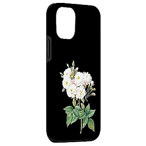 iPhone 13 Pierre Joseph Redoute White Roses Paint Flower Gardener Gift Case