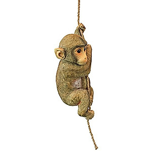 Design Toscano QM2673300 Chico The Chimpanzee Baby Monkey Hanging Animal Statue, 16 Inches High, Handcast Polyresin, Full Color Finish