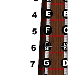 Laminated Viola Fingerboard Note Instructional Chart - Poster includes Circle of 5ths & Nashville Numbering System 11x17 | A New Song Music