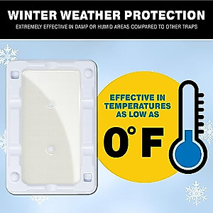 Catchmaster Cold Weather Mouse Traps Indoor for Home 6PK, Winter Pest Control Adhesive Tray for Bugs, Crickets, & Spiders, Pet Safe Glue Traps for Mice in Basement, Walk-In Fridge, Warehouse, & Garage